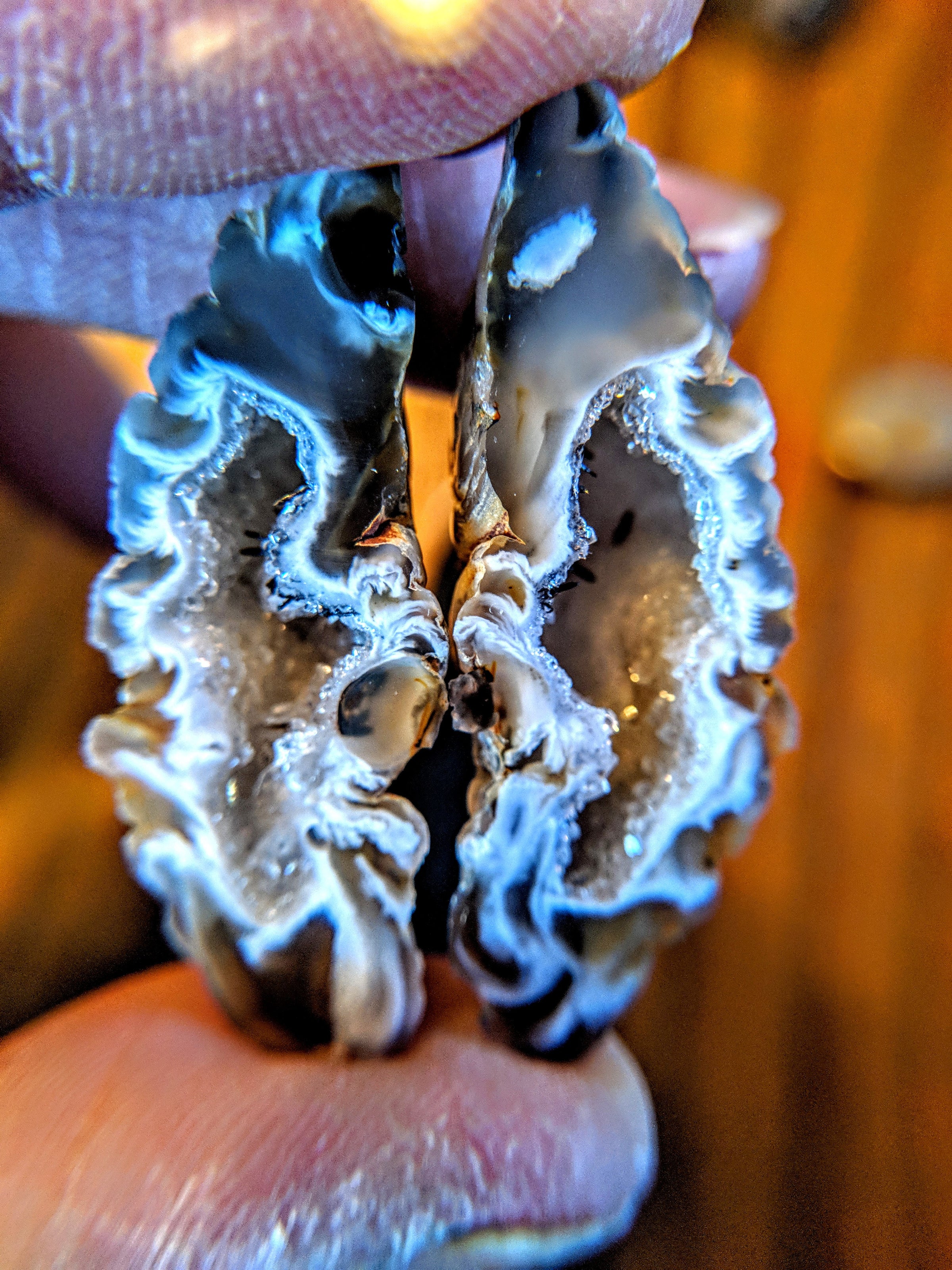 Whole crack your own Oco geodes from Brazil | The Geode Guys