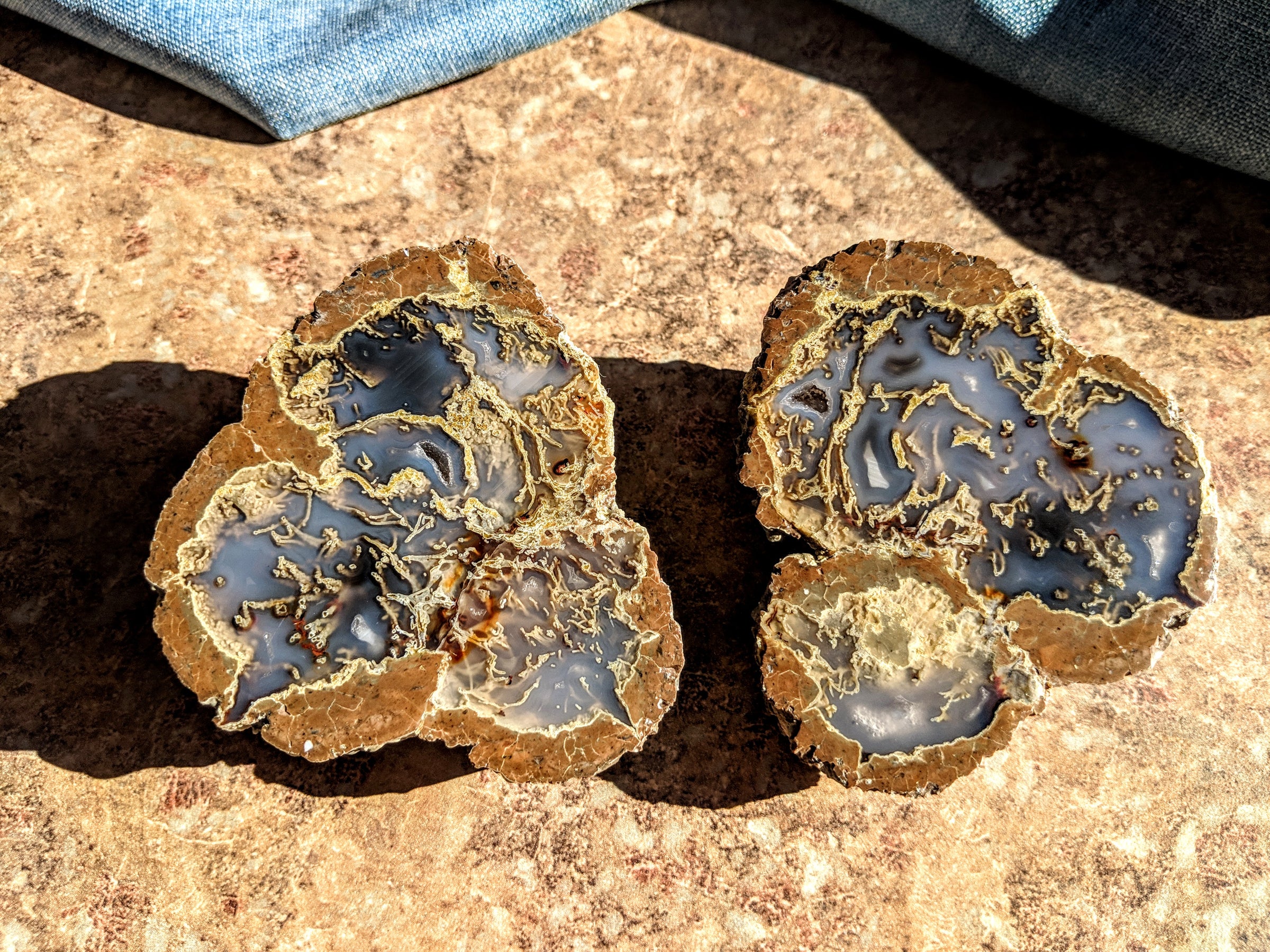 Oregon Thunder Eggs from the Geode Guys | The Geode Guys