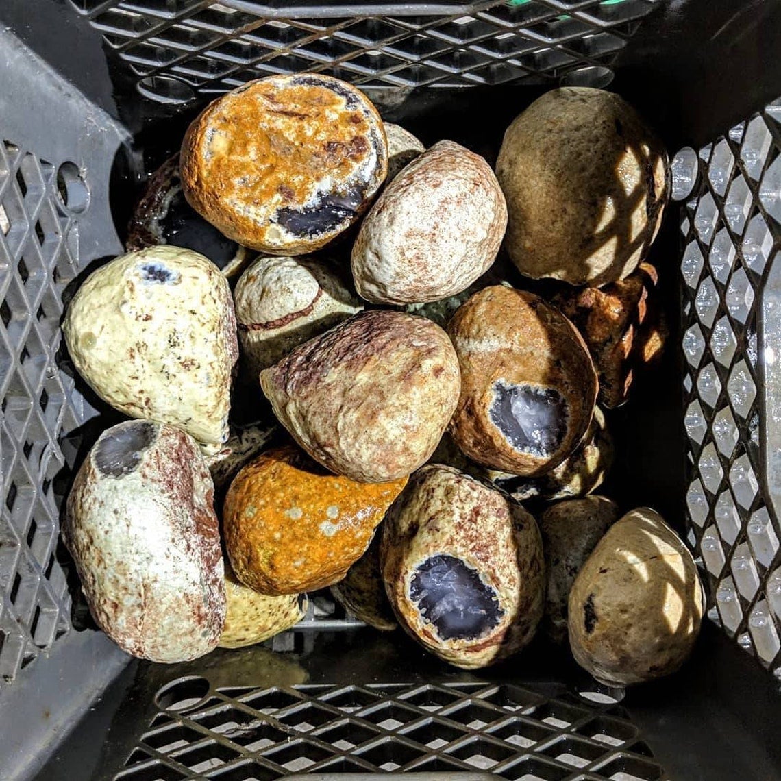 Water filled Enhydro Geodes | The Geode Guys