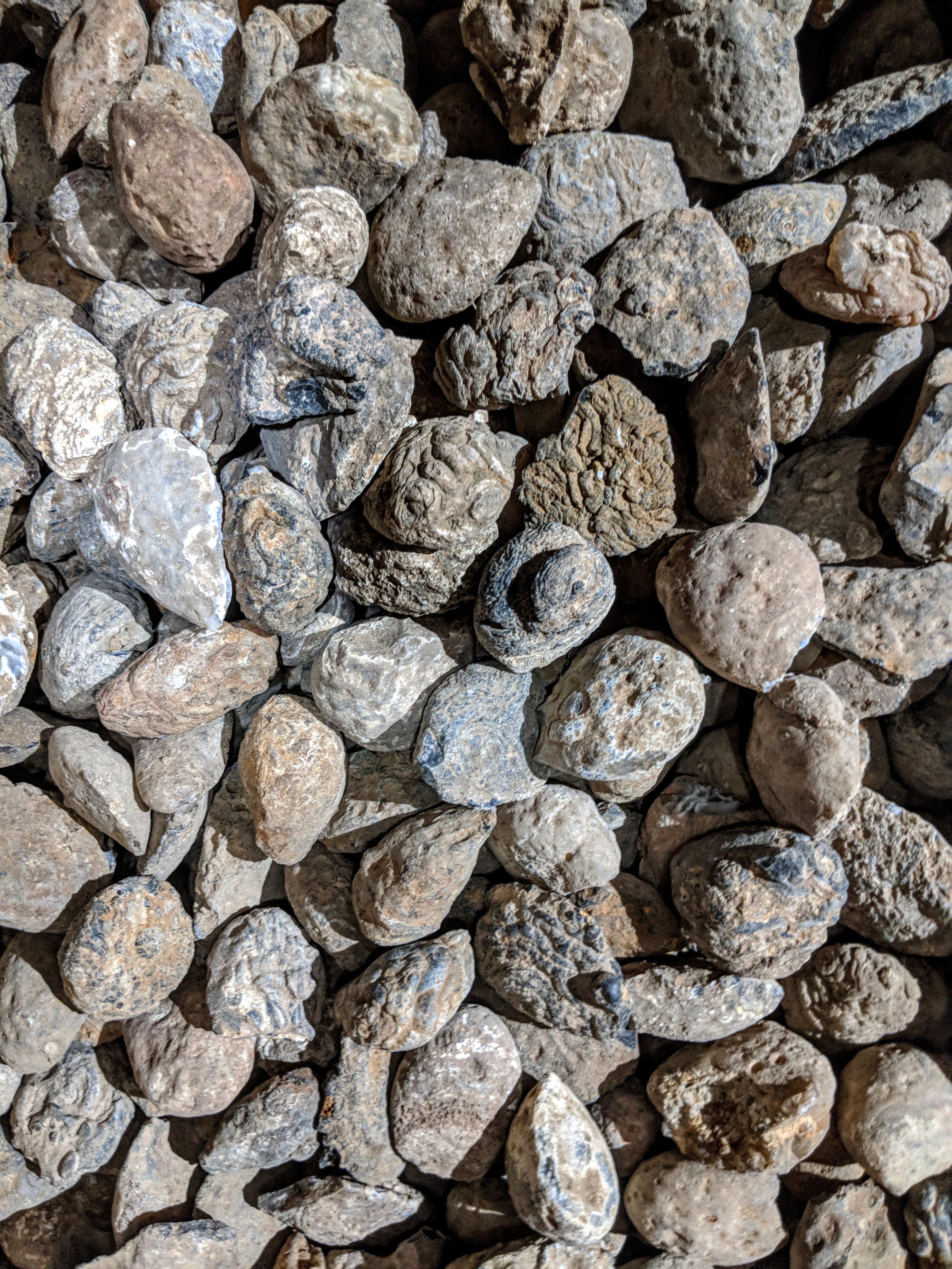 Whole crack your own Oco geodes from Brazil | The Geode Guys