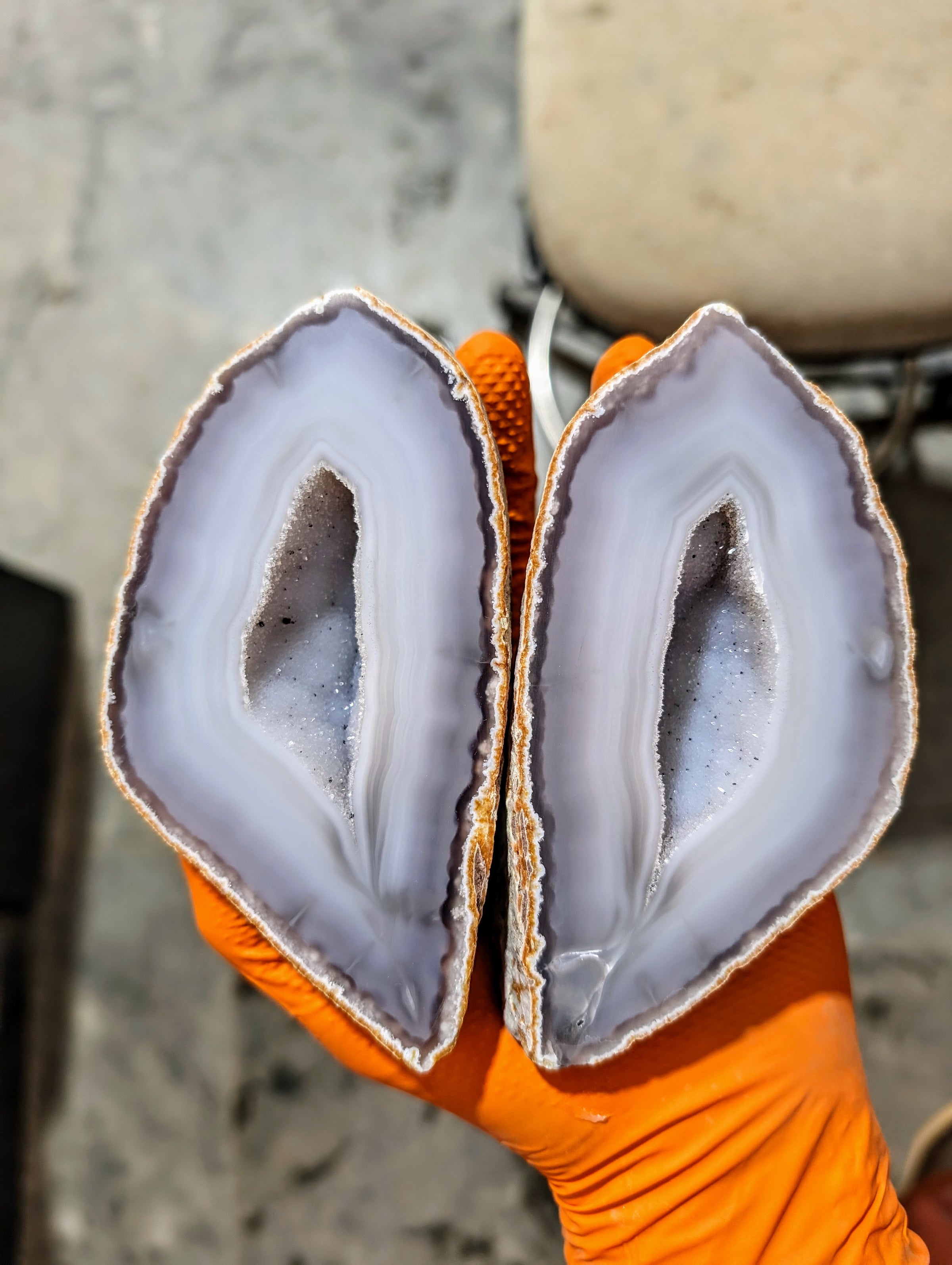 Water filled Enhydro Geodes | The Geode Guys