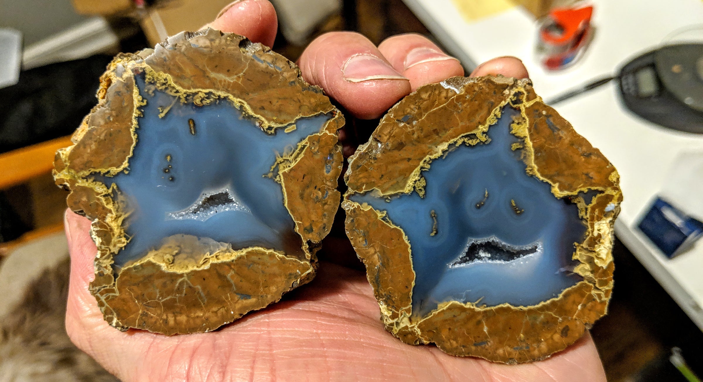 Oregon Thunder Eggs from the Geode Guys | The Geode Guys