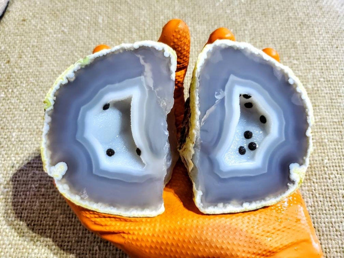 Water filled Enhydro Geodes | The Geode Guys