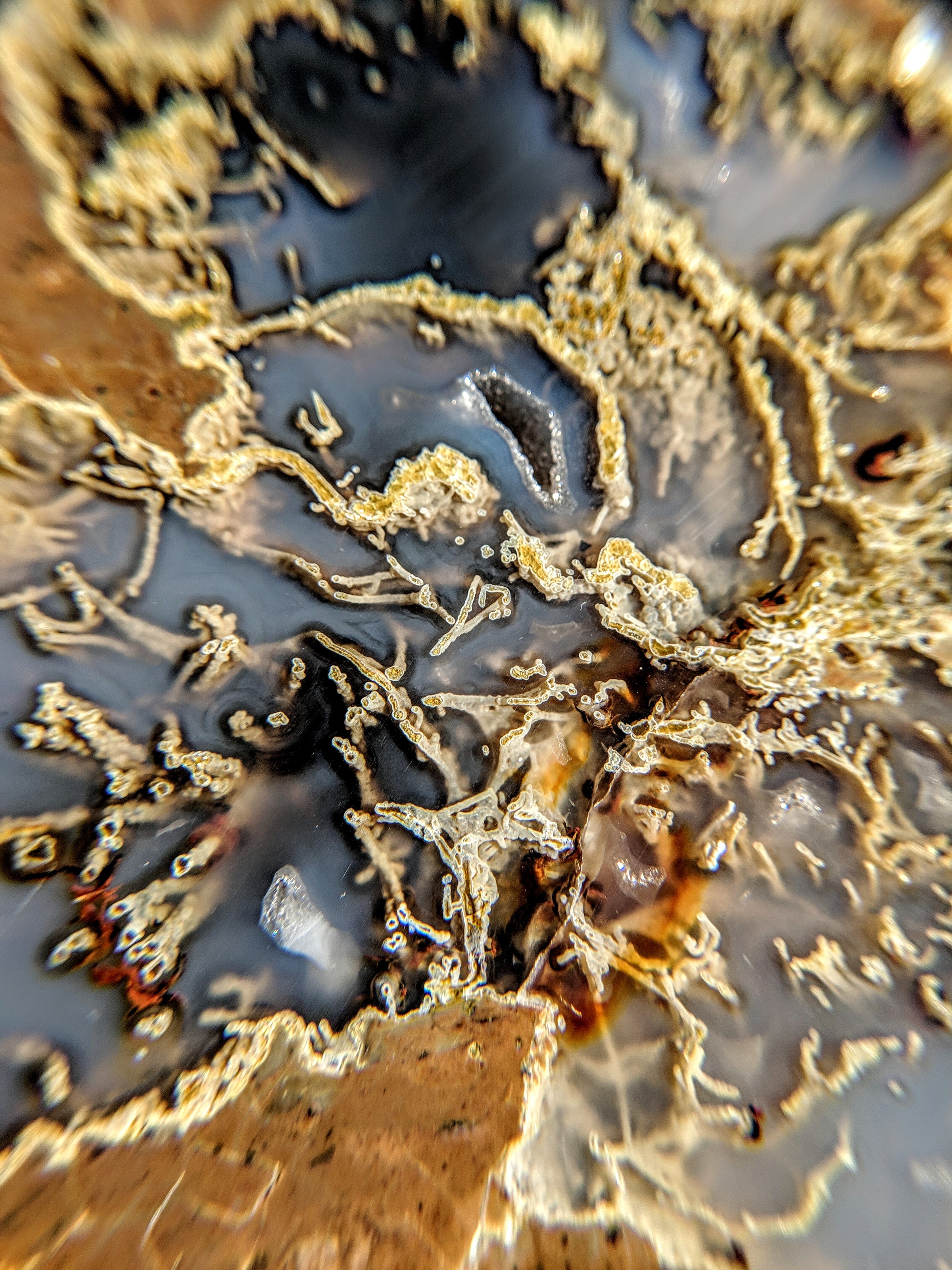 Oregon Thunder Eggs from the Geode Guys | The Geode Guys