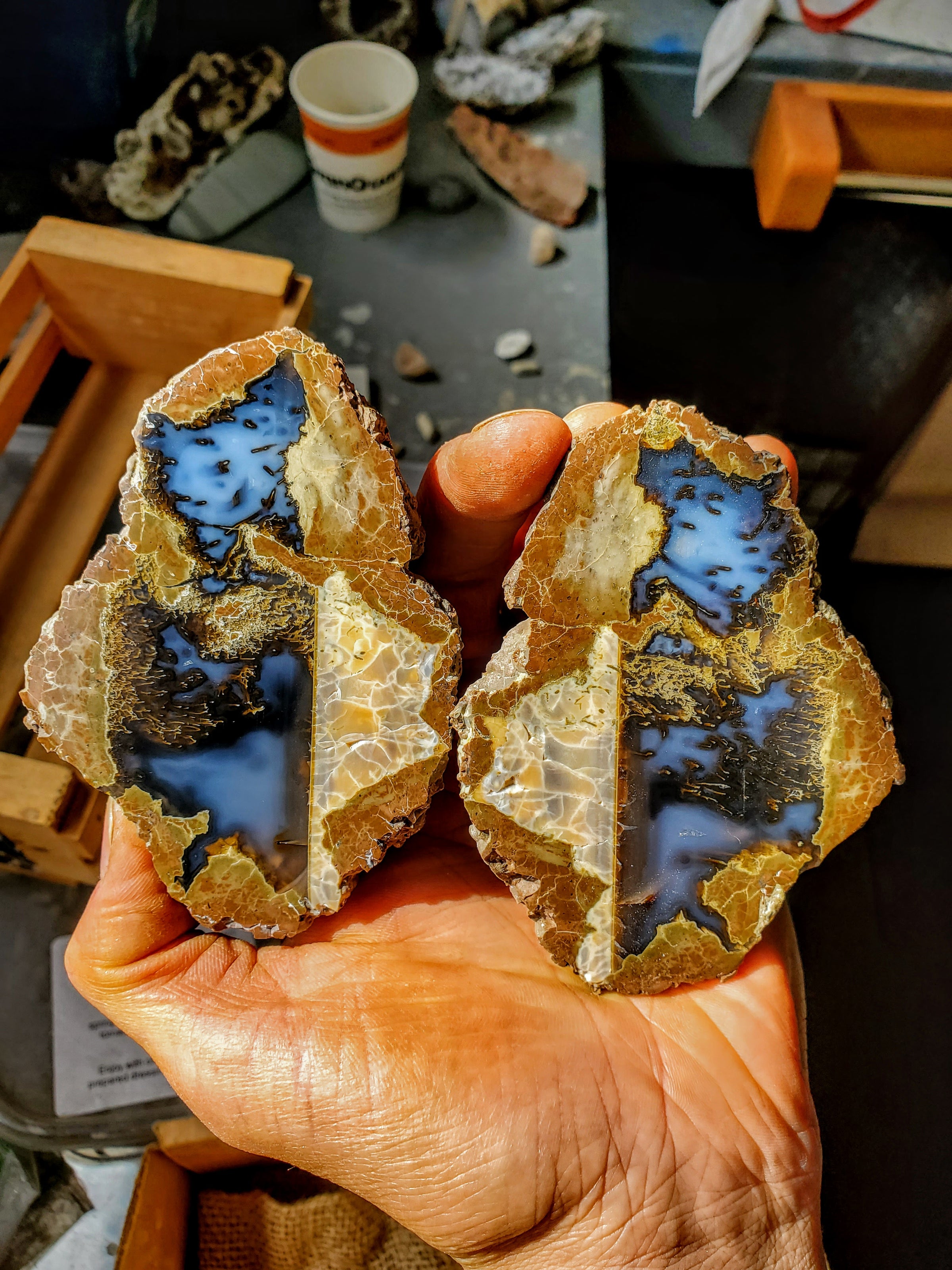 Oregon Thunder Eggs from the Geode Guys | The Geode Guys