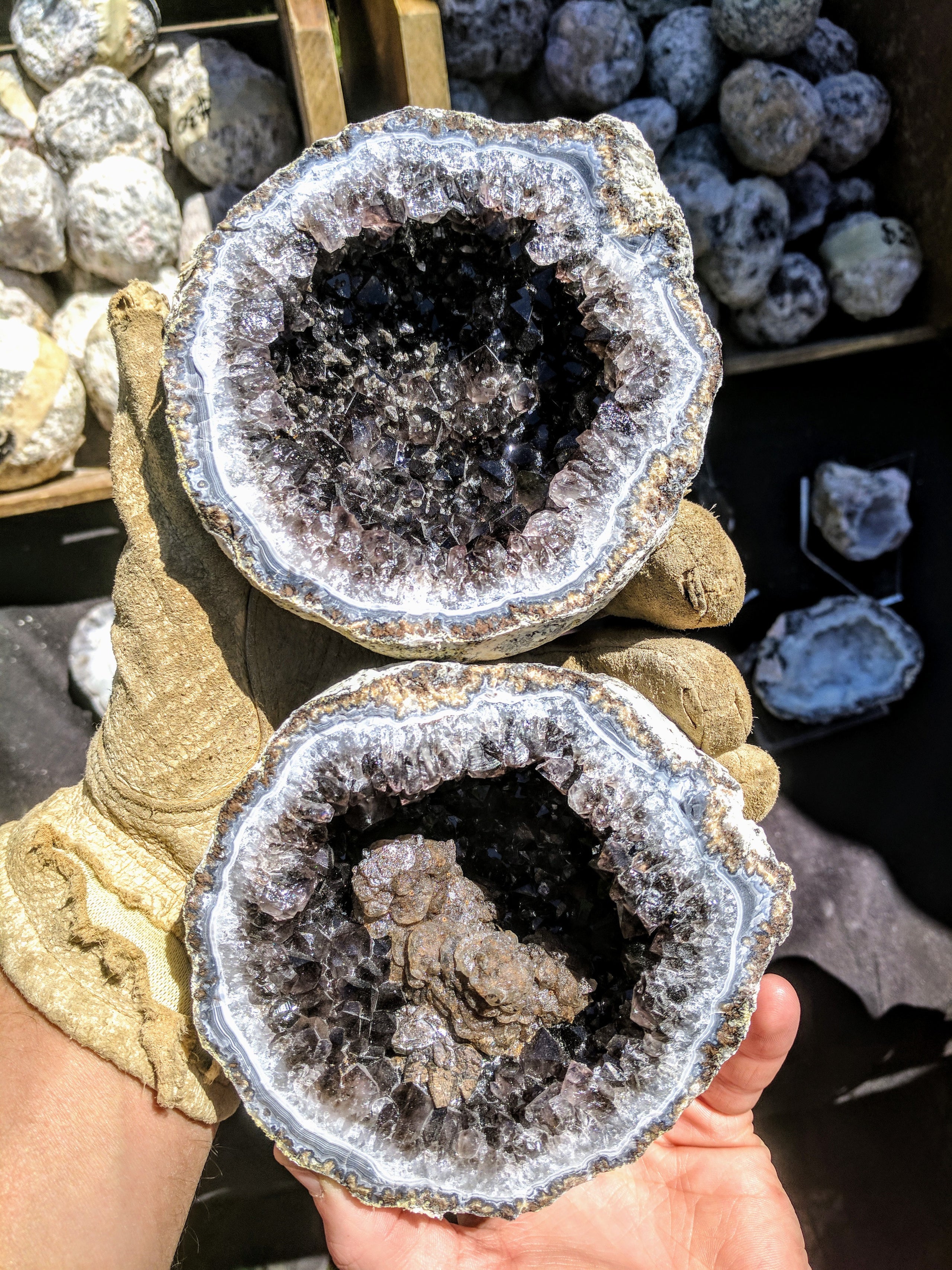Crack your own Mexican Geodes | The Geode Guys