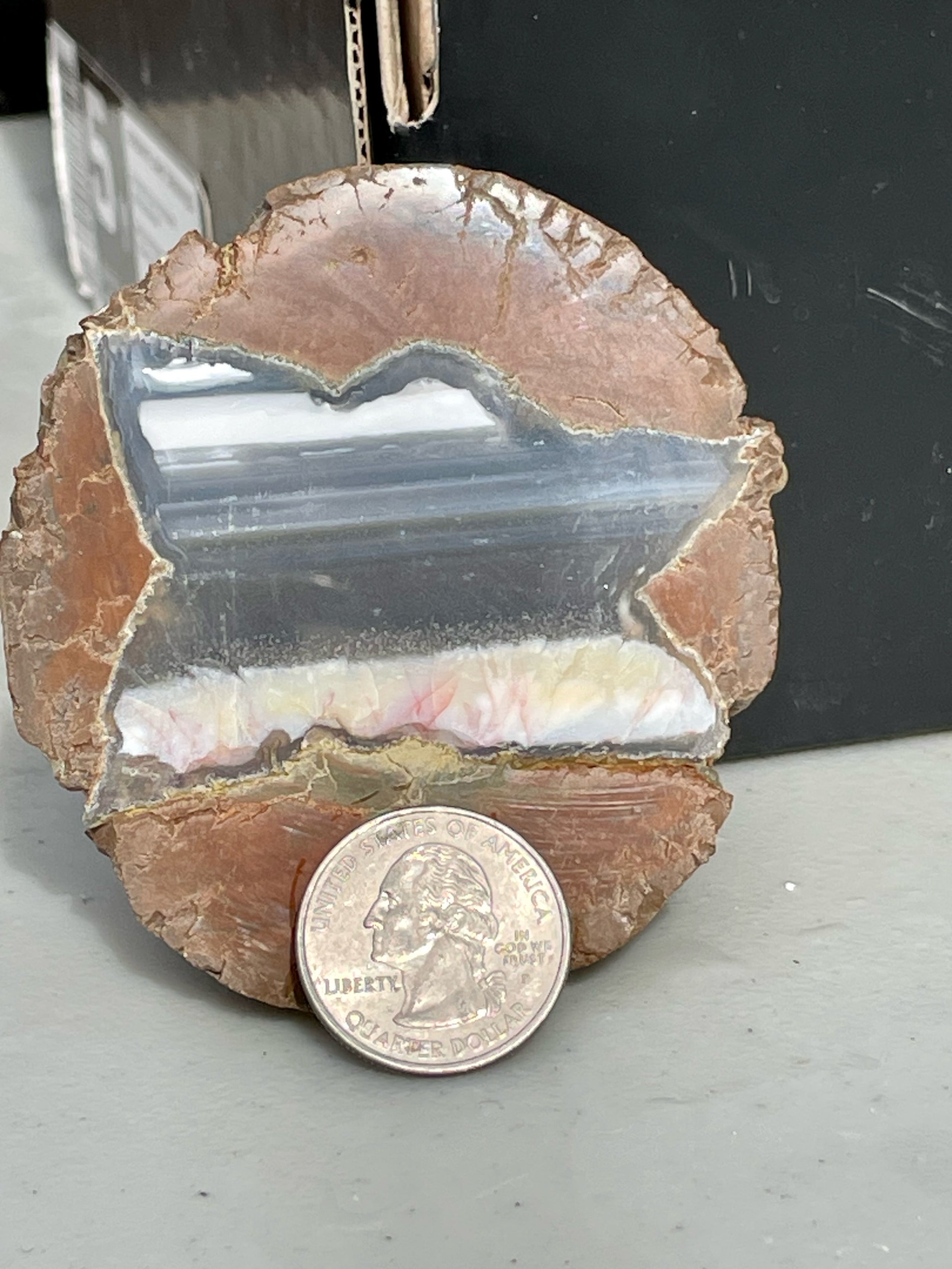 Oregon Thunder Eggs from the Geode Guys | The Geode Guys