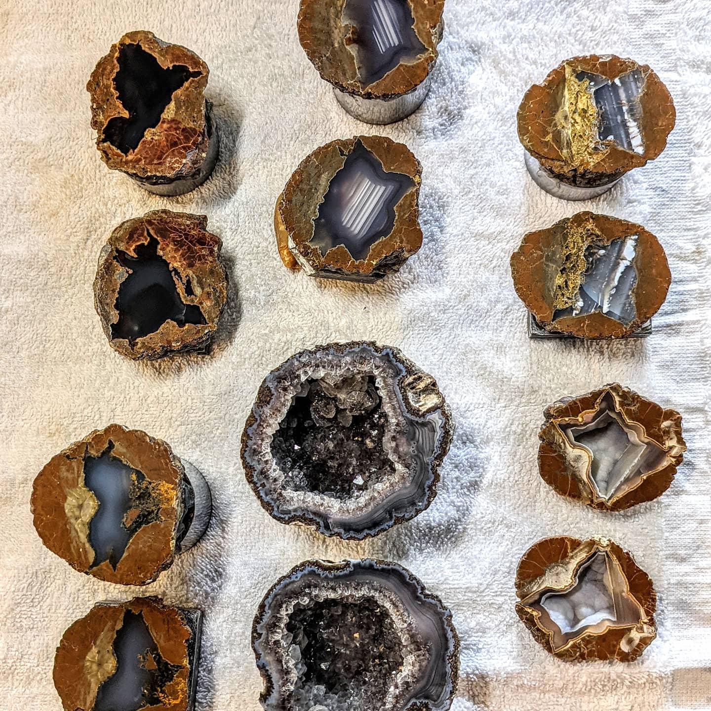 Oregon Thunder Eggs from the Geode Guys | The Geode Guys